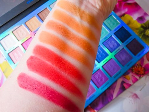 Eyn Bright 42 Colour Palette Review Beauty And The Bookshelves