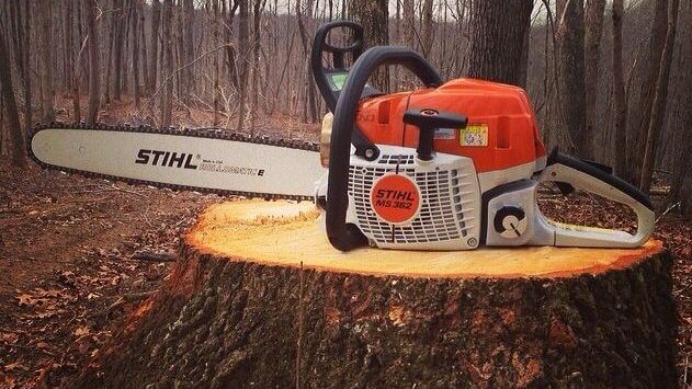 How To Cut And Remove A Tree Stump With A Chainsaw Best Home Gear