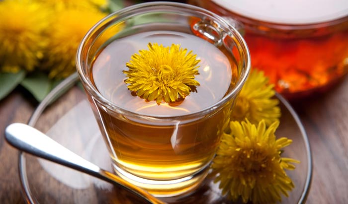 Health Benefits Of Dandelion Root Tea Best Places Of Interest