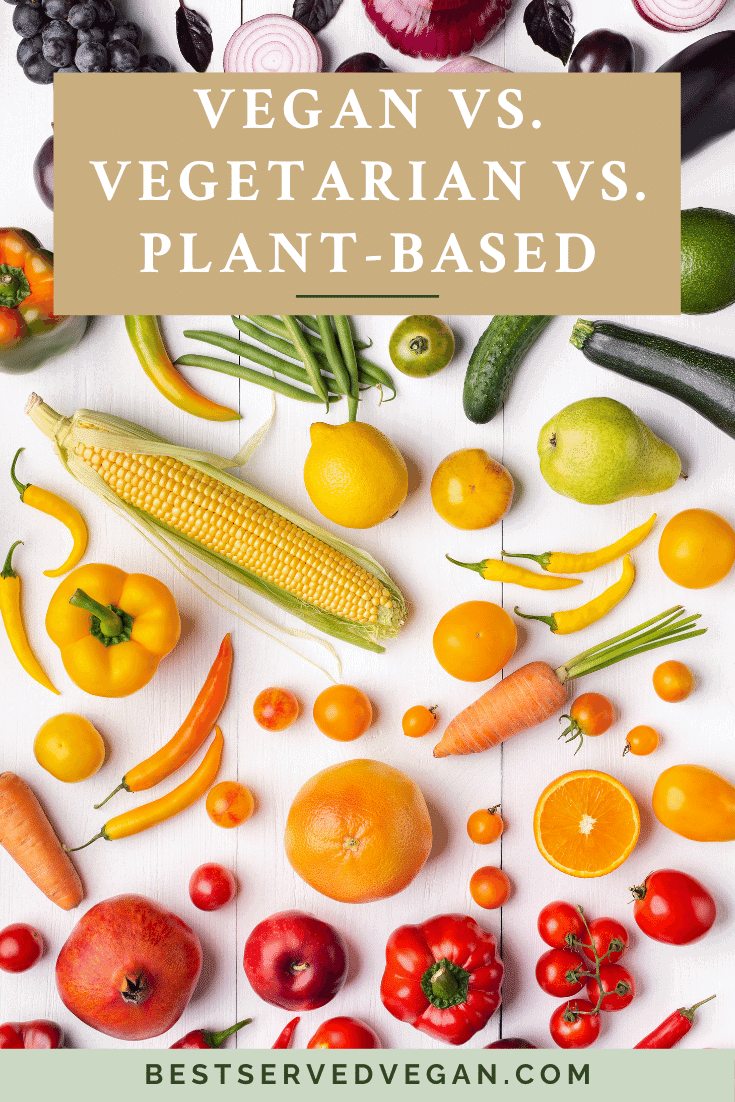 Review Of Plant Based Versus Vegan Diet Ideas Plantnews