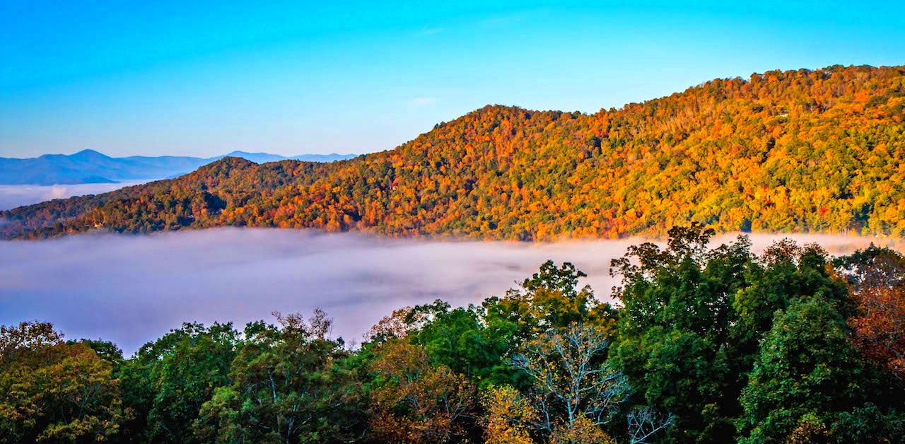 The 20 Best Overlooks On The Blue Ridge Parkway In Fall Blue Ridge