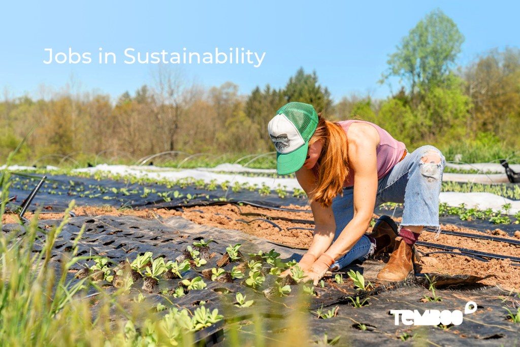 Sustainability Jobs Working For The Environment