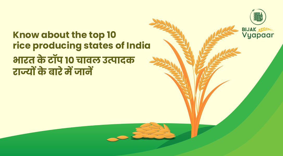 Know The Top 10 Rice Producing States Of India