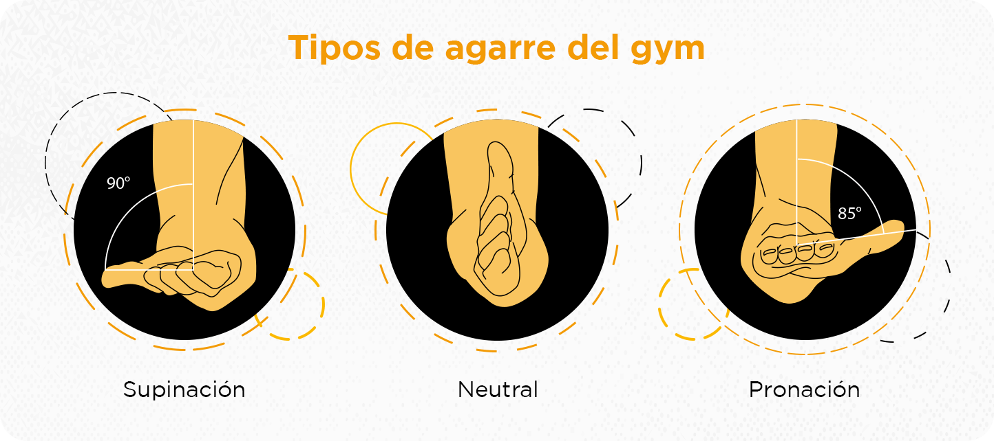 Smartfit Blogtipos De Agarre En El Gym 2 Rutinas Y Consejos Por