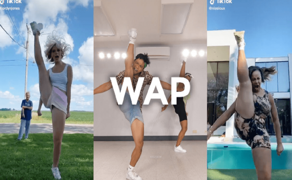 Wap Meaning On Tiktok Explained Brunchvirals