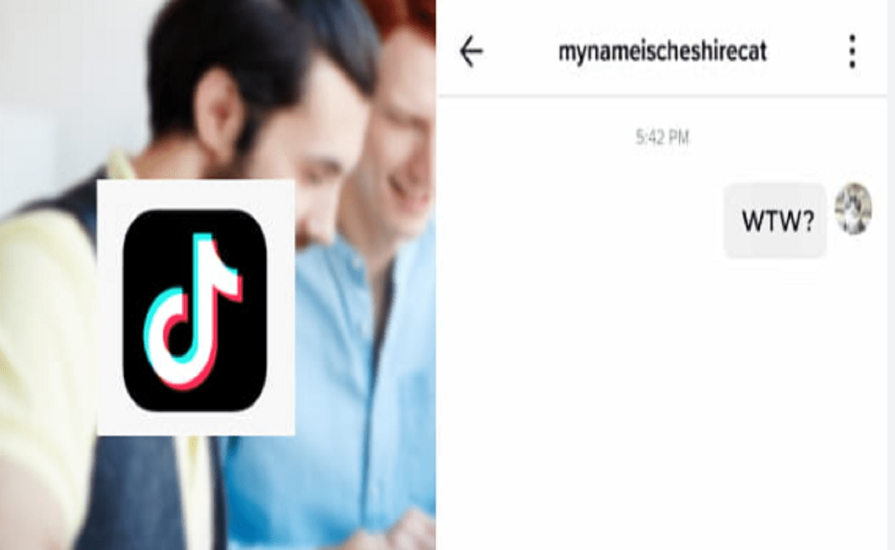 Wtw Meaning On Tiktok Explained Brunchvirals