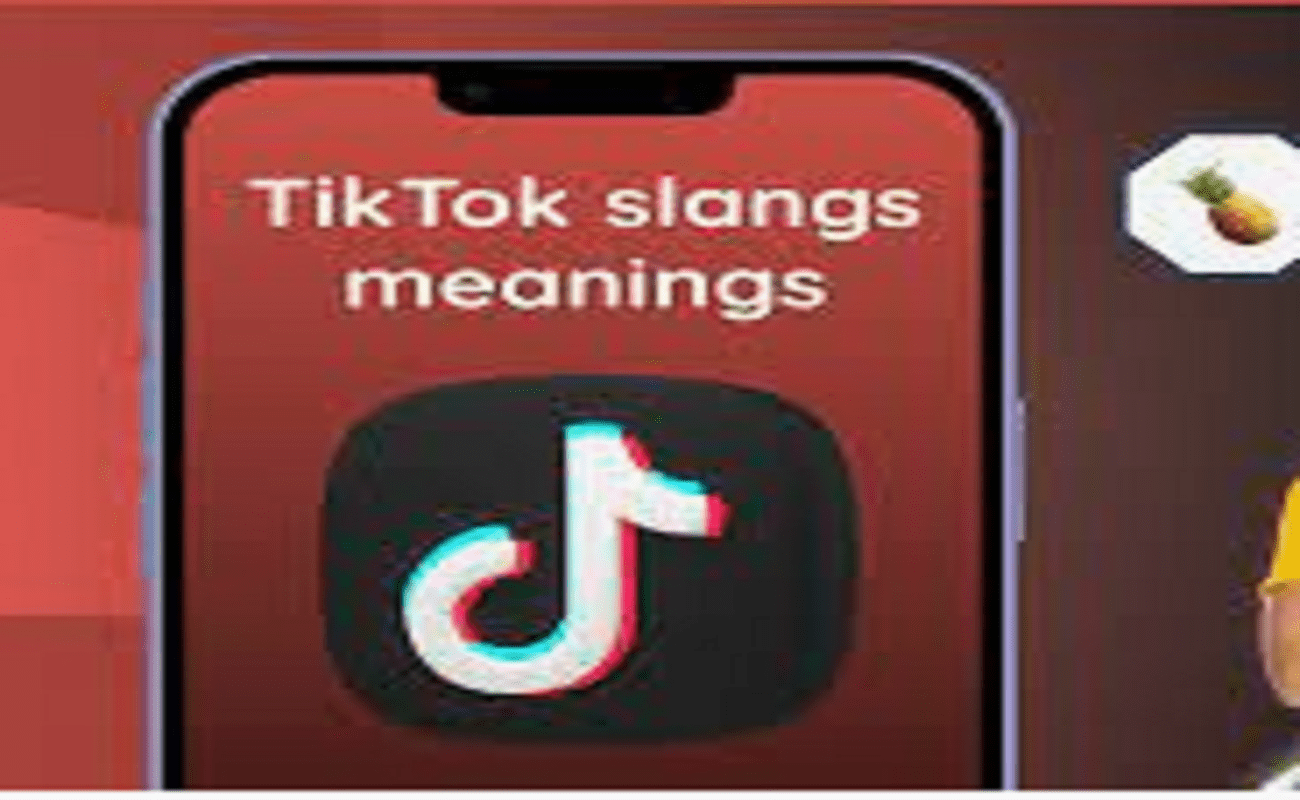 Dsmp Meaning On Tiktok Explained Brunchvirals