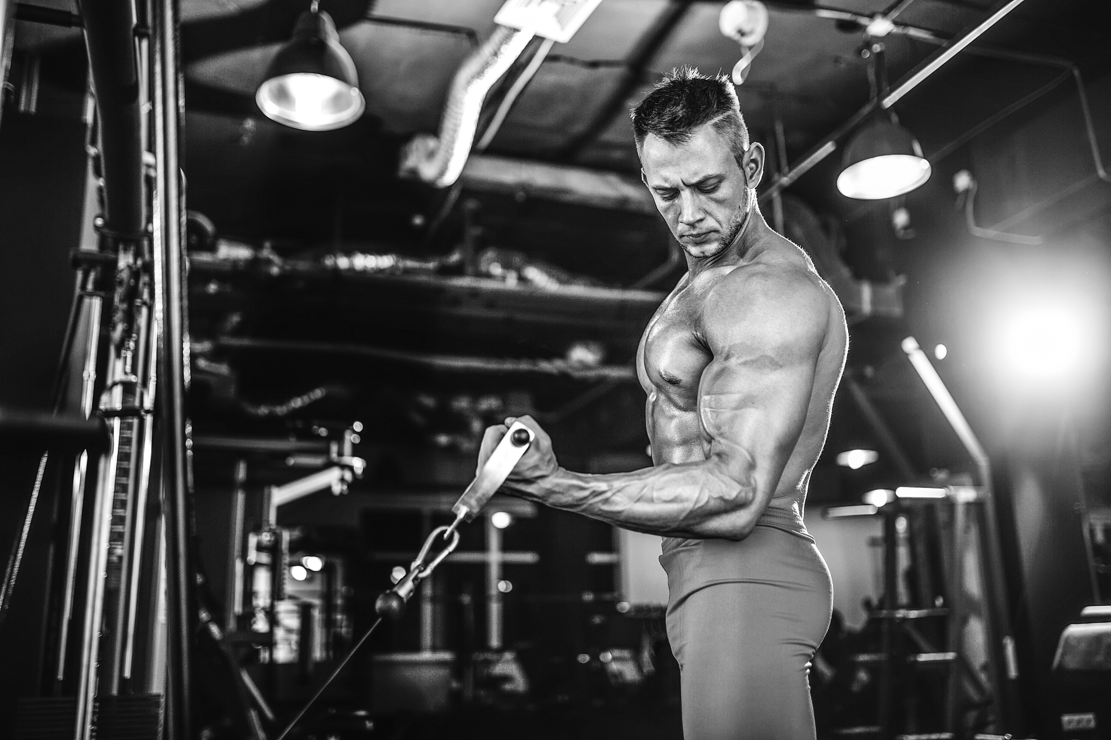 10 Best Bicep Exercises Get Bigger Arms Gravity Transformation