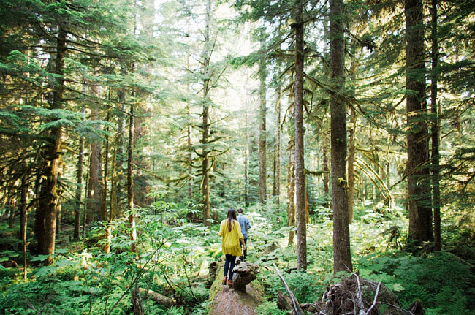 Adventurous Engagement Shoot In The Mountains Kate Adam