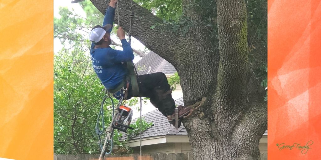 Sacred Snippet Tree Trimmers Greene Pastures By Patti Londa Greene