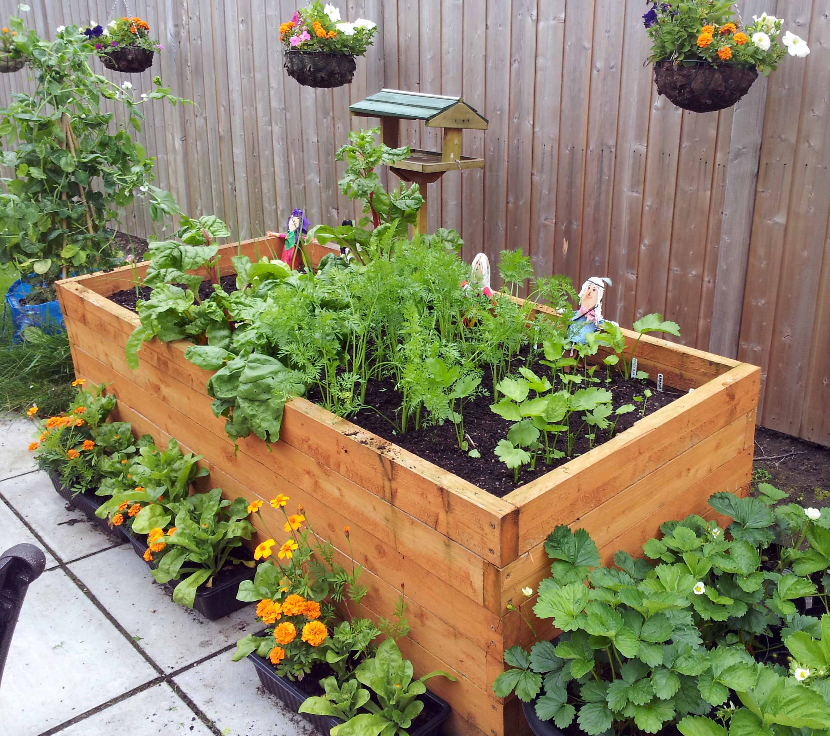 How To Plant A Vegetable Garden In Containers