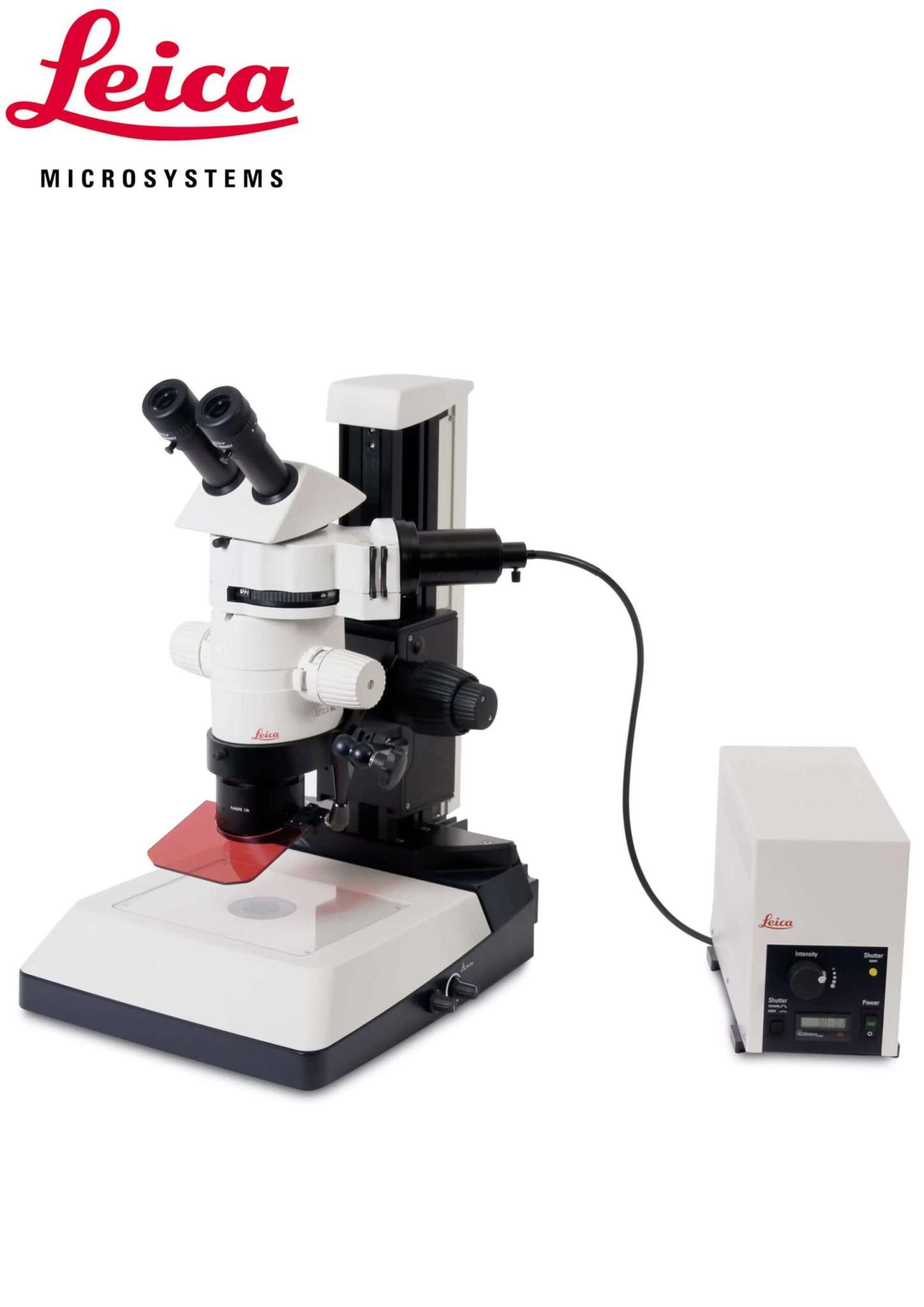 Fluorescent Stereo Microscope Leica Mz10 F Gt Vision