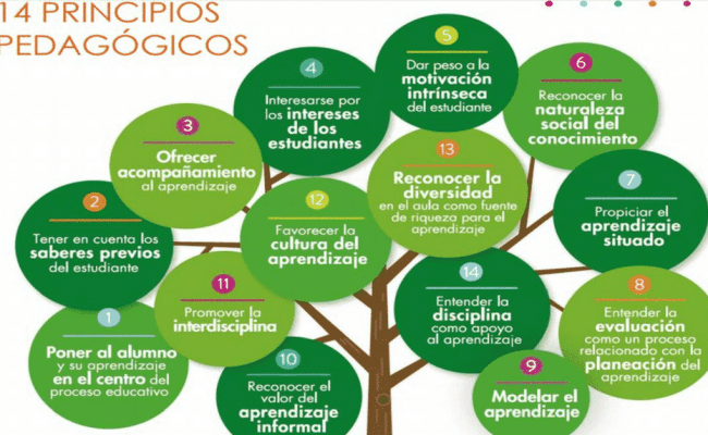 Los 5 Principales Modelos Pedagogicos Utilizados En La Educacion