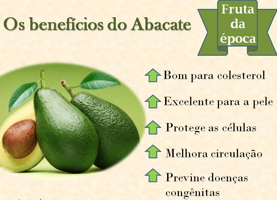 Benefícios Do Abacate Conheça Todos