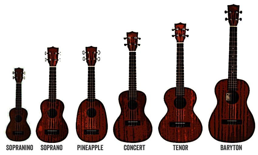 Les Différentes Tailles De Ukulélé Kessako Ma Guitare Et Vous