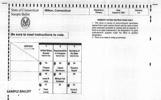 Election 2022 — Special Primary Issue Meet The Candidates Good