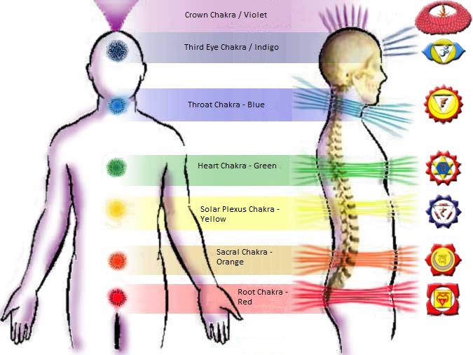 The Chakras And Their Functions