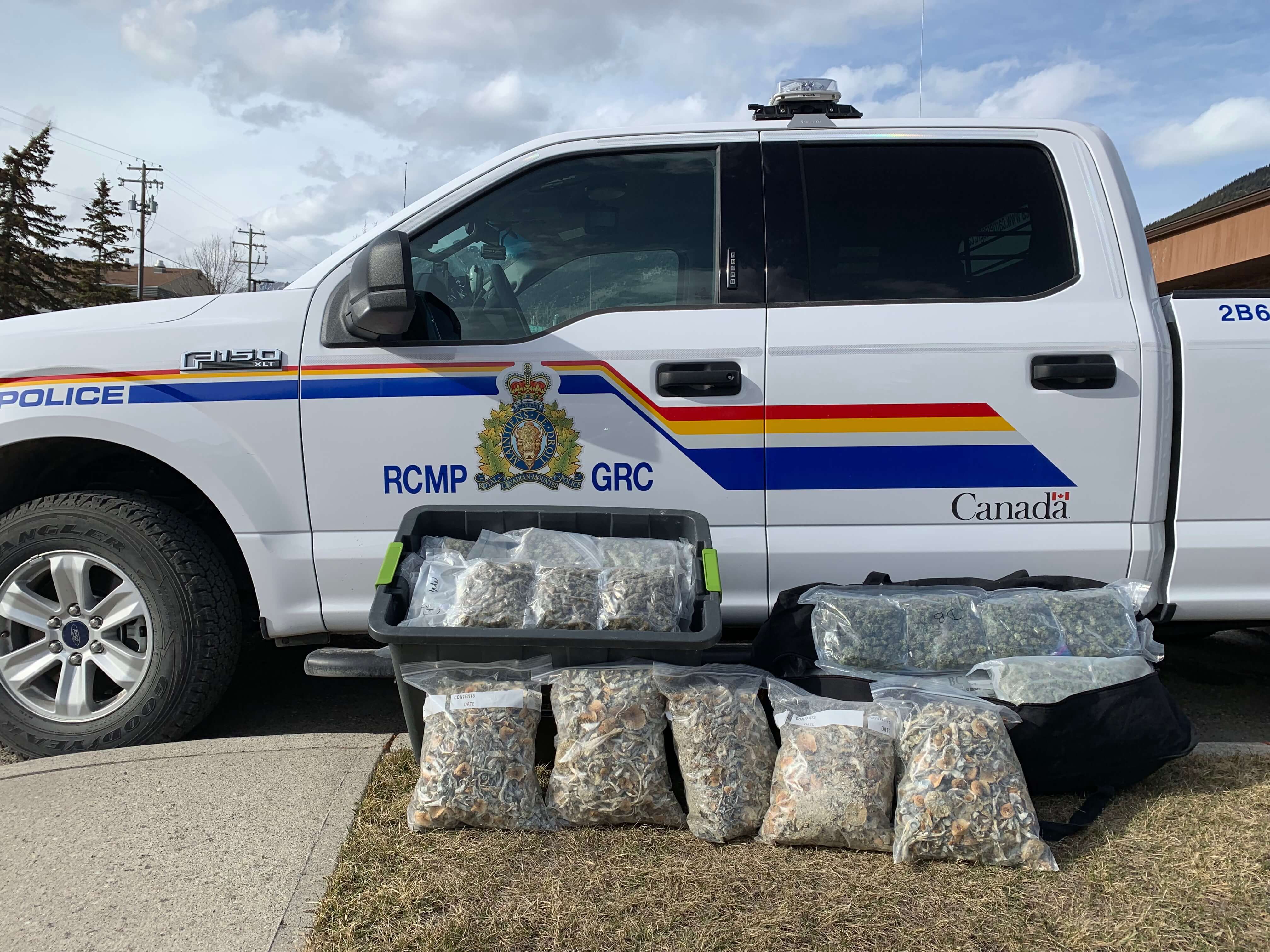 Alberta Rcmp Traffic Services Score Significant Drug Seizures In Banff