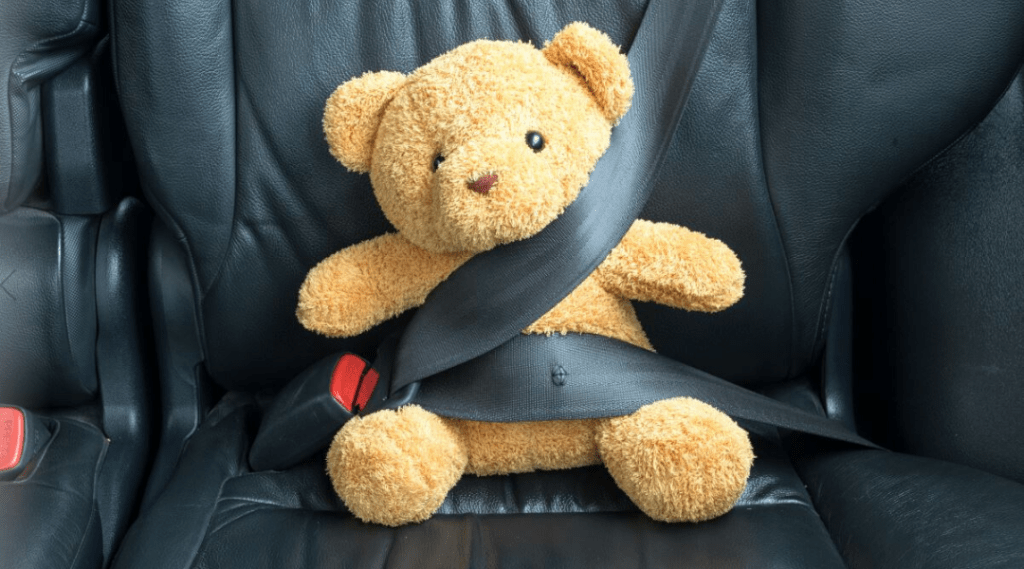 Seat Belts Save Lives Gateway Gazette