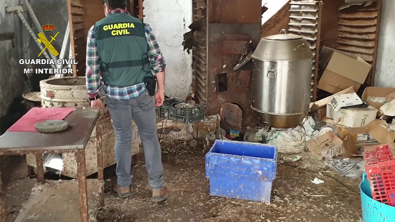 Clausurado Un Matadero Ilegal Cuya Carne Se Vendía Sin Control