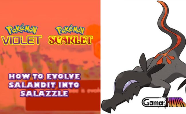 Pokemon Scarlet Violet How To Evolve Salandit Into Salazzle How To Get