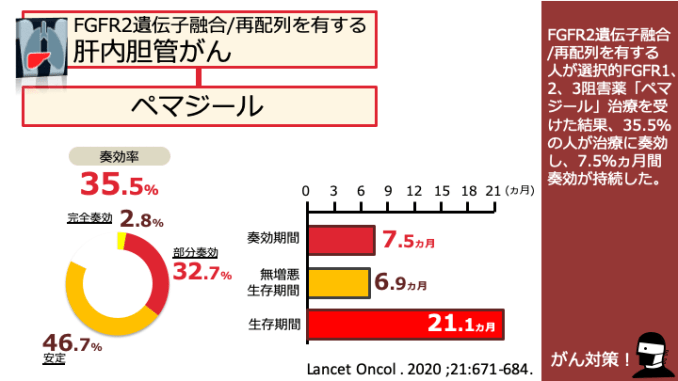 【2022年版】胆道がん（胆嚢がん・胆管がん）の二次治療 がんゲノム医療・免疫治療 銀座みやこクリニック院長ブログ