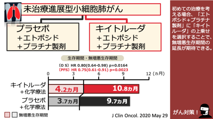 【2022年版】小細胞肺がんの最新治療（進展型・一次治療） がんゲノム医療・免疫治療 銀座みやこクリニック院長ブログ