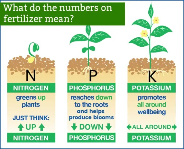 What Do The Numbers Mean On Fertilizer Npk Ratio Explained Garden