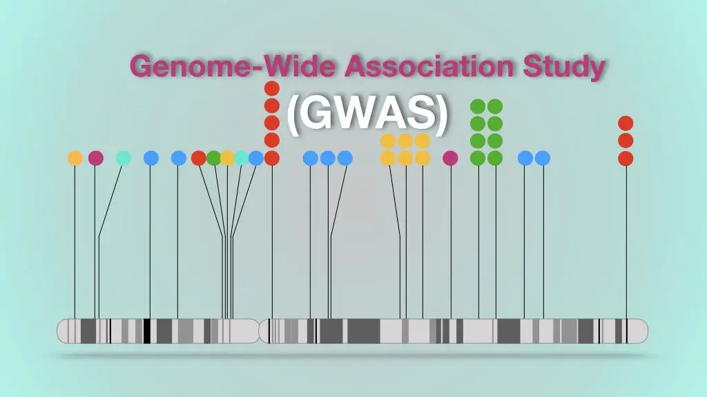 An Introduction To Genome Wide Association Study Gwas