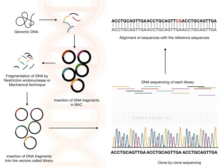 3 Of The Best Genome Sequencing Methods