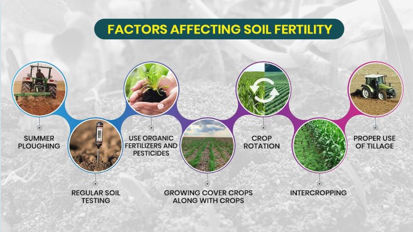 How To Make The Soil Fertile Method To Improve Fertility