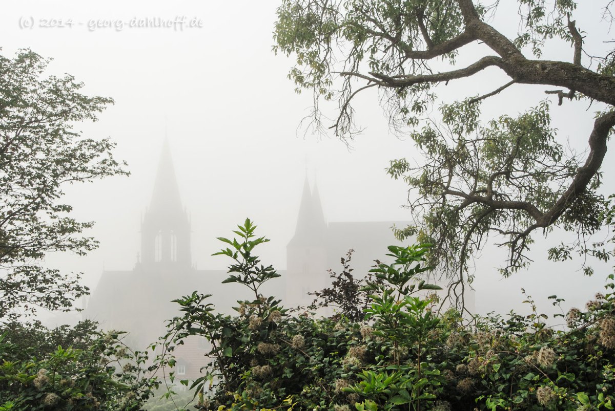 Ein Nebelmorgen In Oppenheim Georg Dahlhoff Fotografie