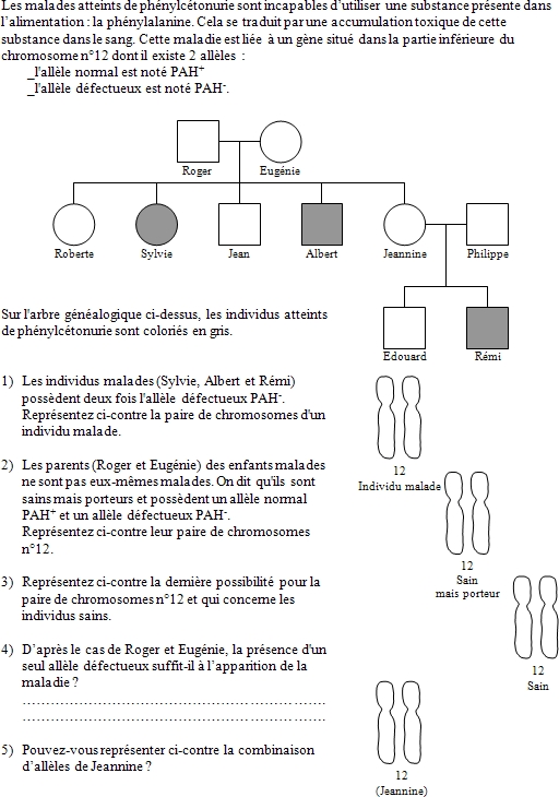 Devoir Maison Sur La Genetique 3ème Svt