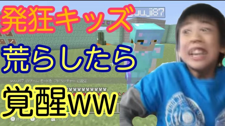 マイクラwiiu荒らそうぜwwpart60面白い発狂キッズのワールドを荒らしたらキッズが覚醒したww │ Dougabu