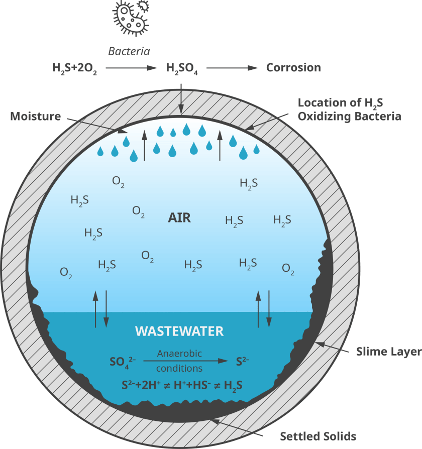 H2s Hydrogen Sulfide Poisoning Doyles Space