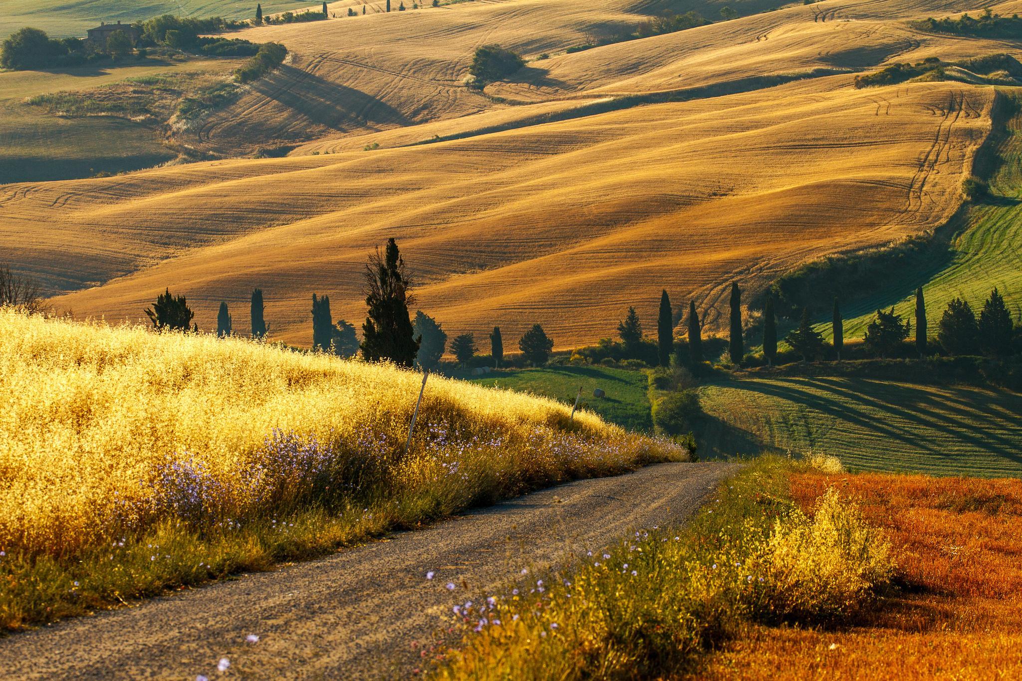 Sfondi Desktop Campagna Toscana Sfondier