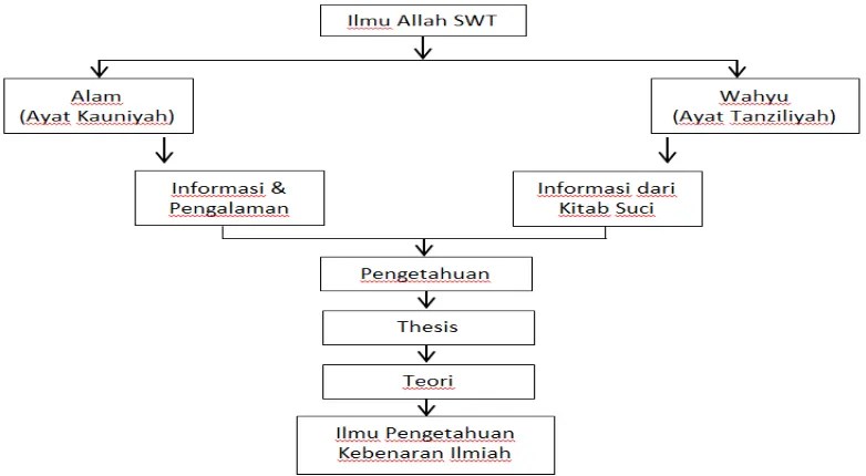 Gambar Proses Kejadian Manusia Menurut Sains Alat Reproduksi Pria Dan