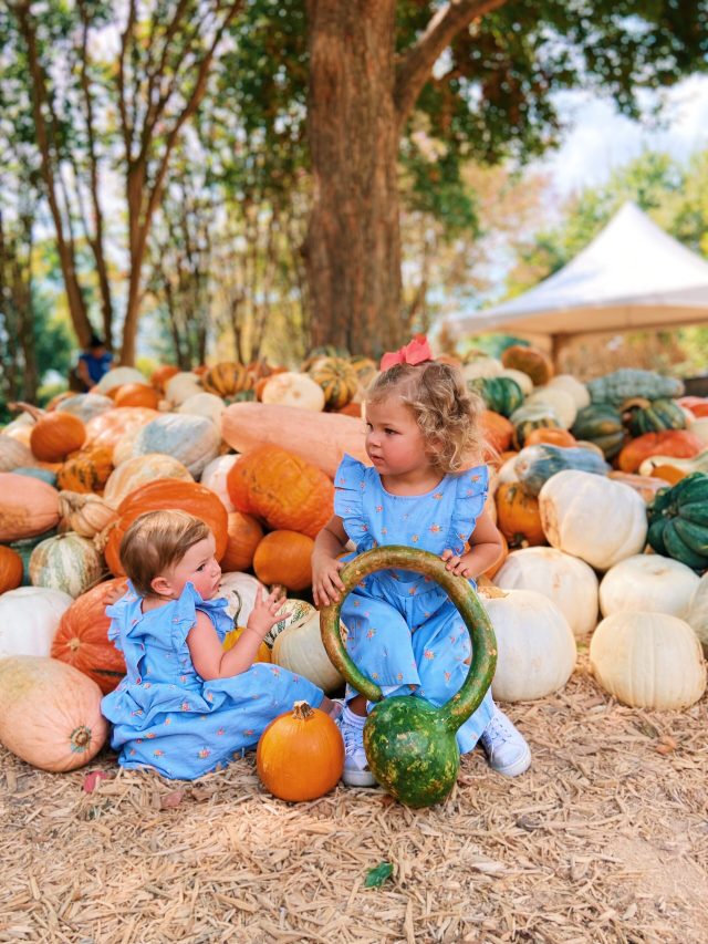 Pumpkin Patches In Dfw Our Top 5 To Visit This Fall Dallas Fun Fam