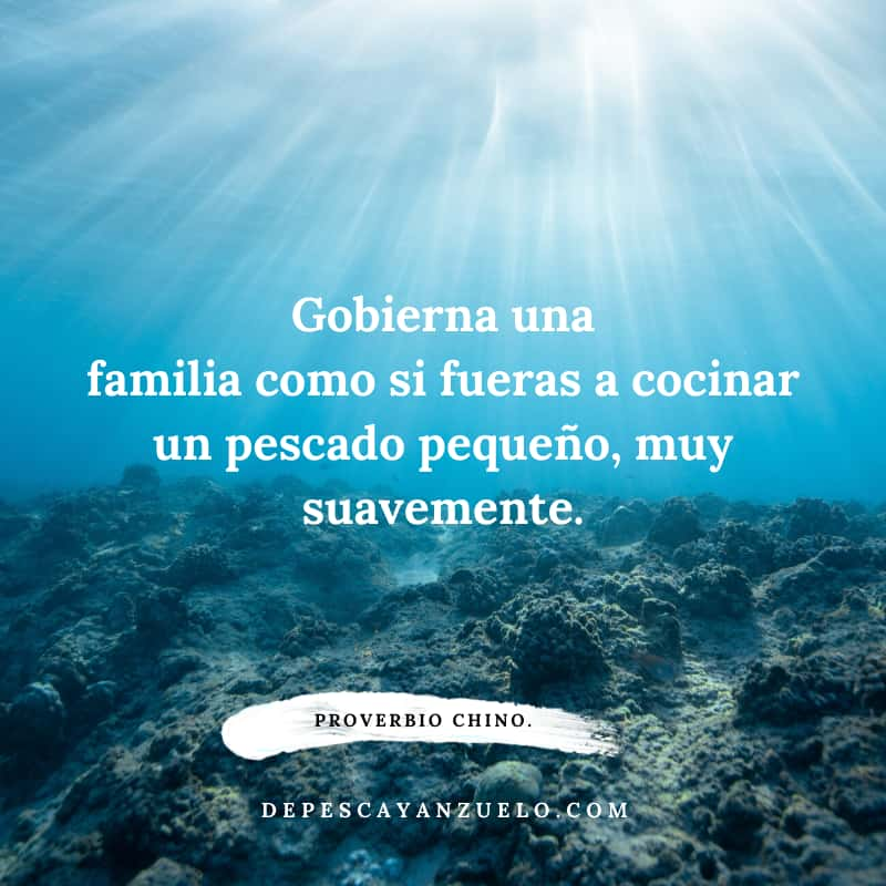 Las Mejores 60 Frases De Pesca De Pesca And Anzuelo