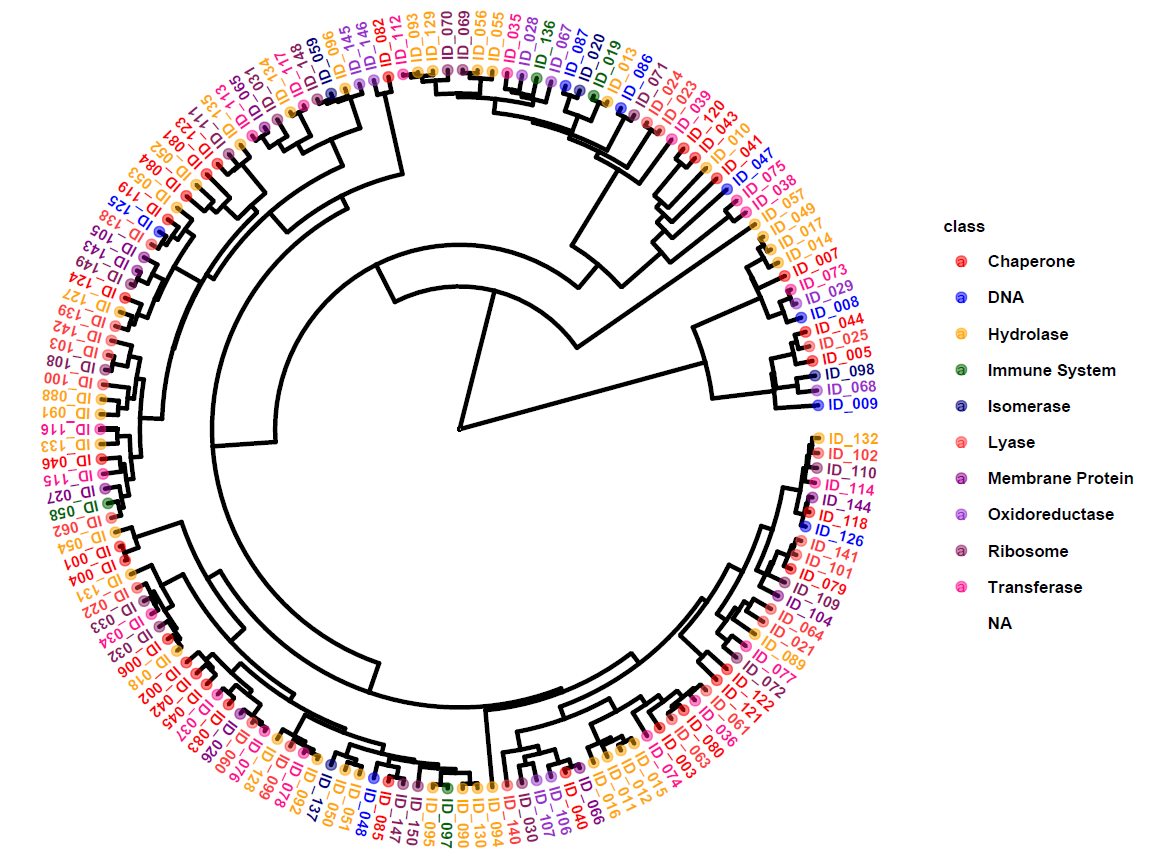 Circular Dendrogram Categorical Classification Phyo Phyo Kyaw Zin