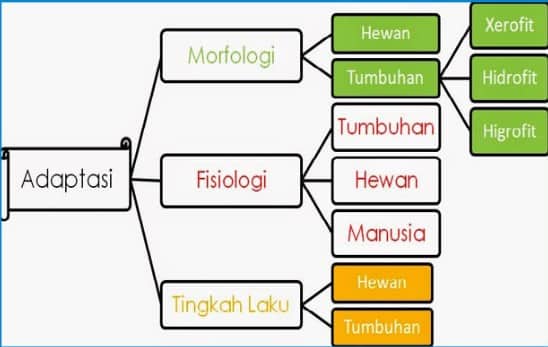 Contoh Cara Makhluk Hidup Beradaptasi Dengan Lingkungannya Ilmu