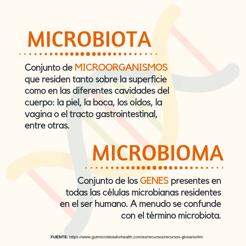 Importancia De La Microbiota Y El Microbioma Intestinal En La