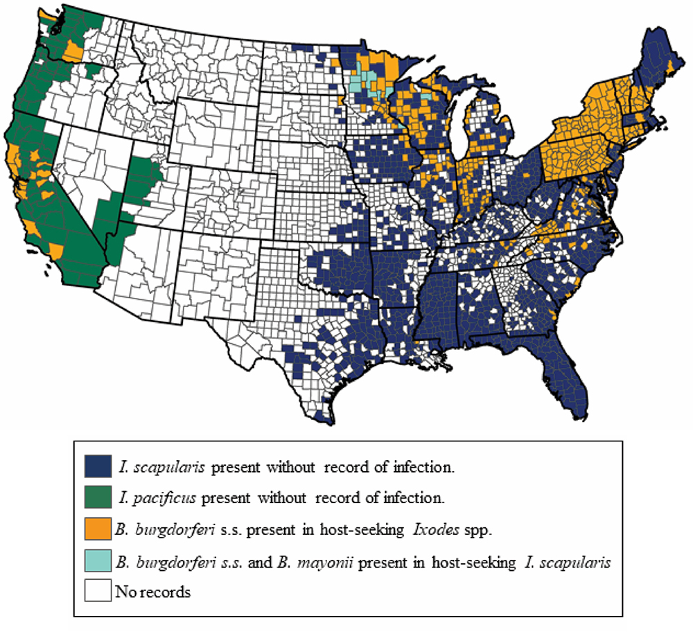 Lyme Disease Regions Map