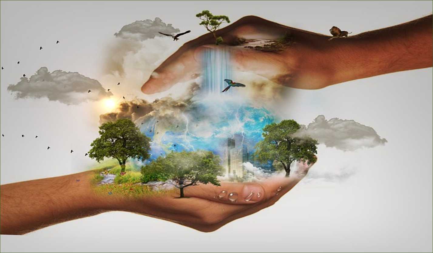 10 Importance Of Conservation Of Natural Resources Environment Go 2023