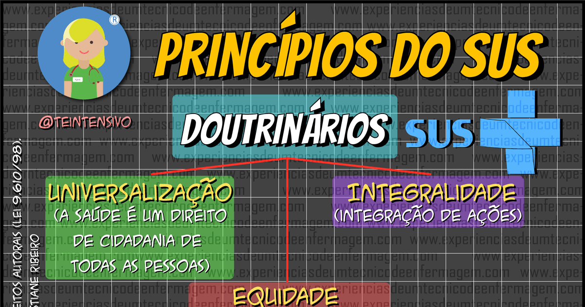 Princípios Do Sus Enfermagem Ilustrada