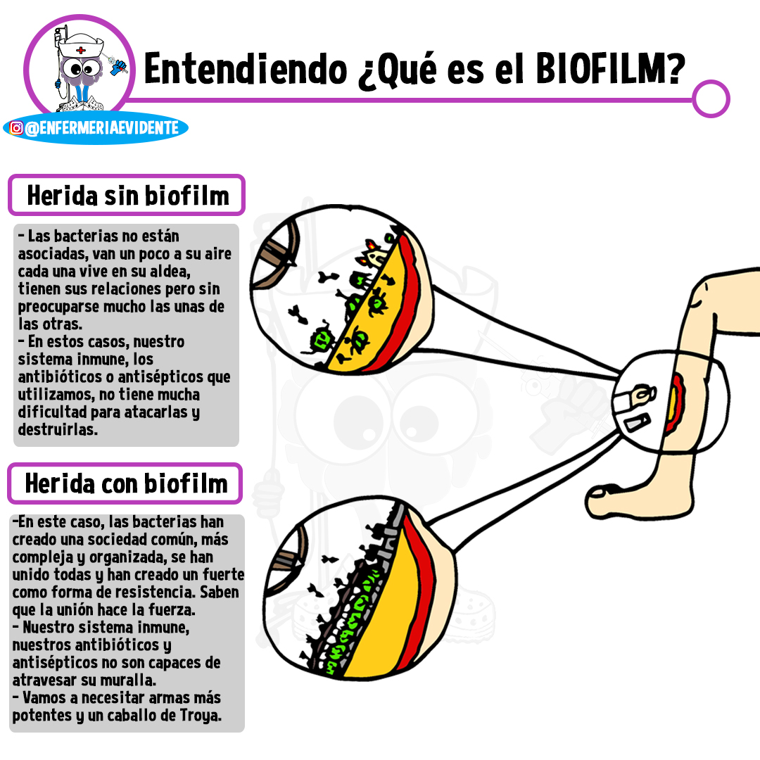 Entendiendo ¿qué Es El Biofilm Enfermeria Evidente