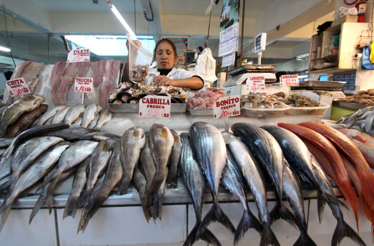 Semana Santa Sepa Cómo Seleccionar Pescado Fresco Y Sano En Línea