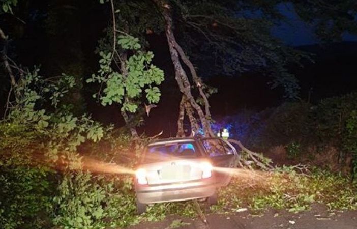 Driver Escapes Without Injury After Tree Falls On Car At Sidmouth