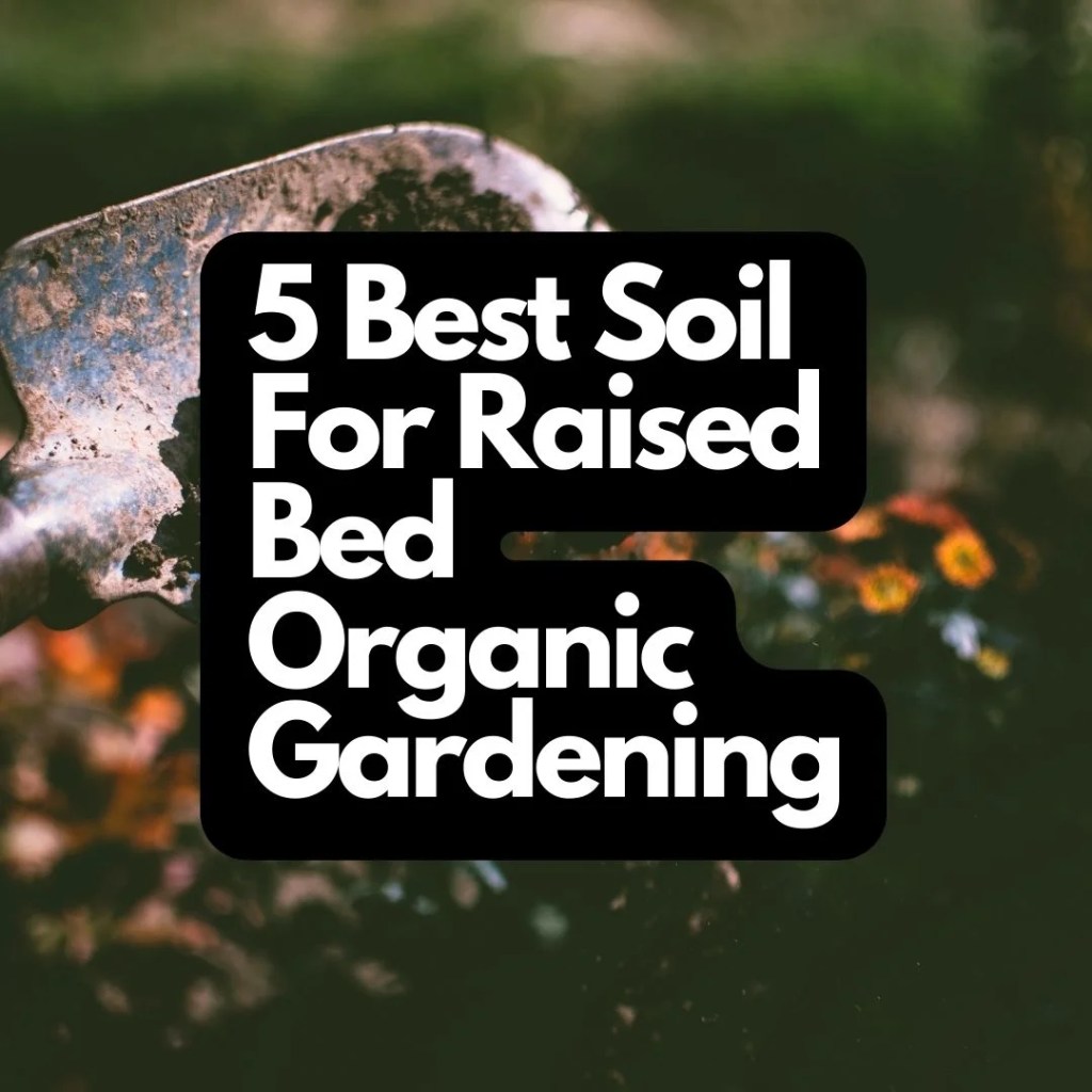 5 Best Soil For Raised Bed Organic Gardening Organic Gardening