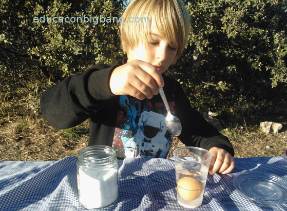 Experimento Del Huevo Que Flota En Agua Con Sal Experimentos Y